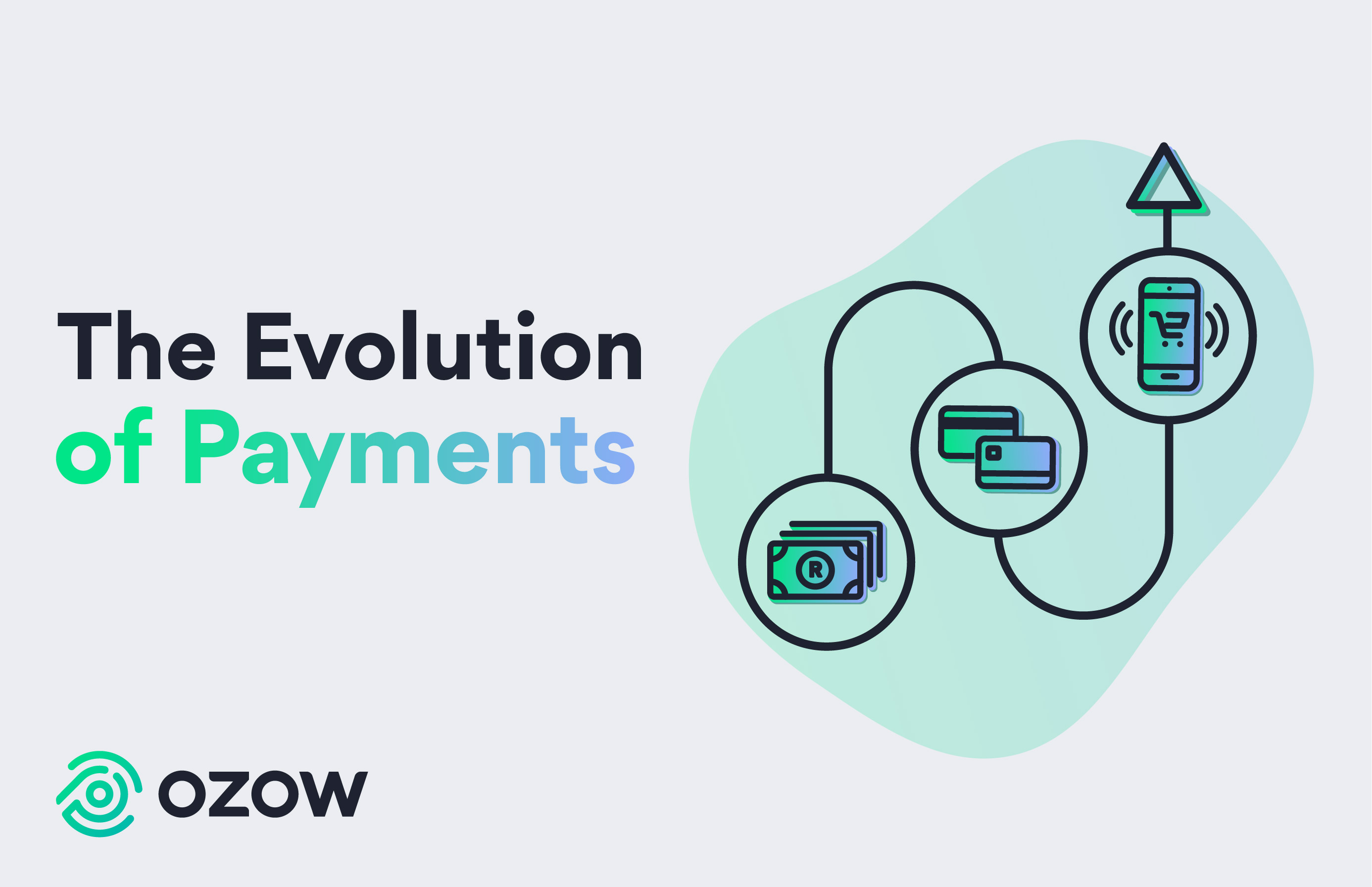 Payments Evolution | Ozow Insight